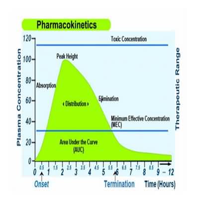 drug onset peak and duration