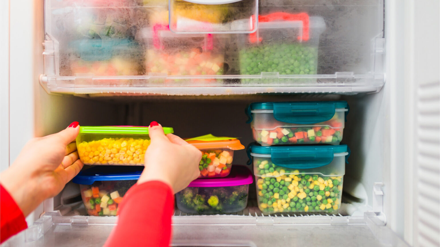 The Essential Guide to Proper Food Storage and Handling